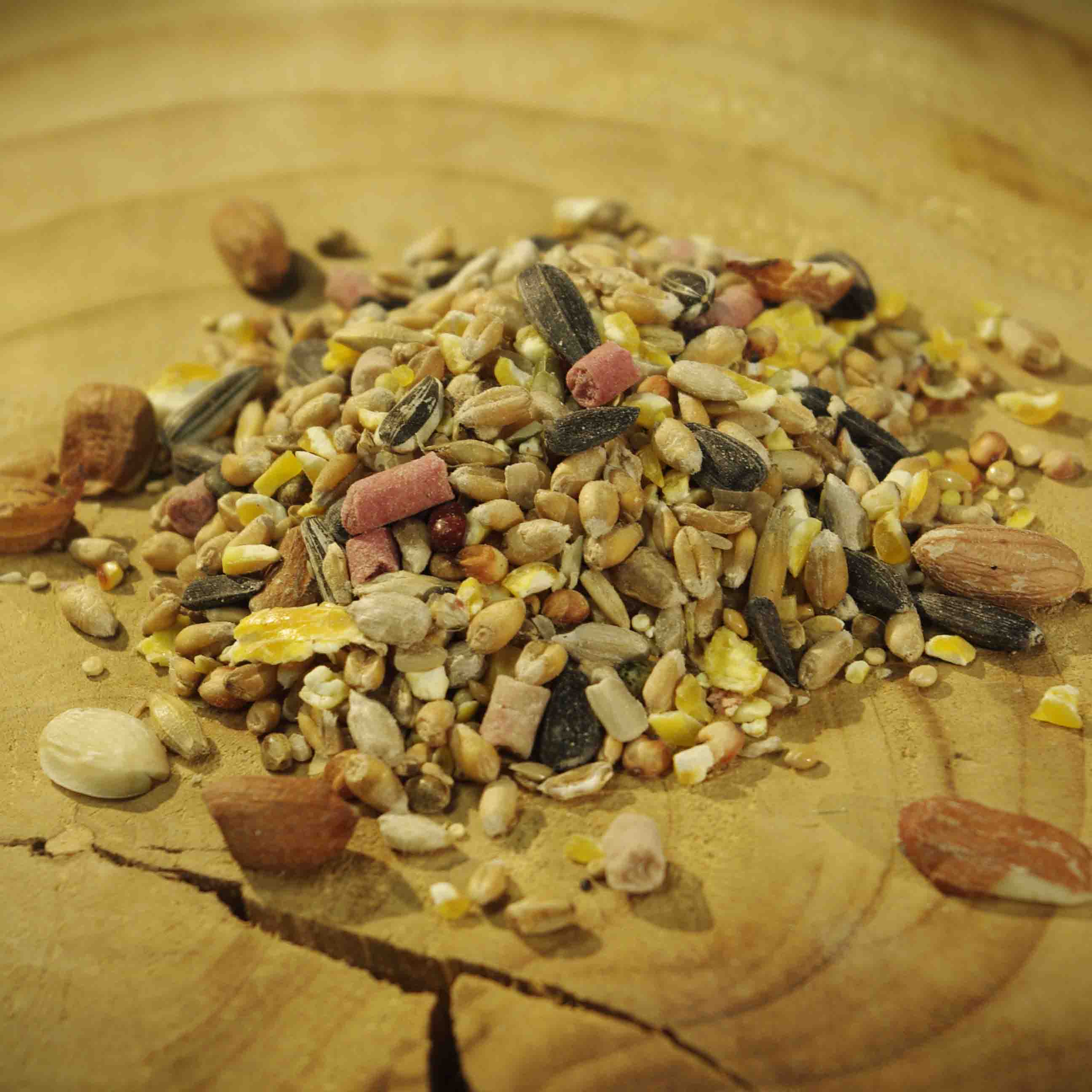 Wild Bird Seed Mixes – Mossys Garden Centre