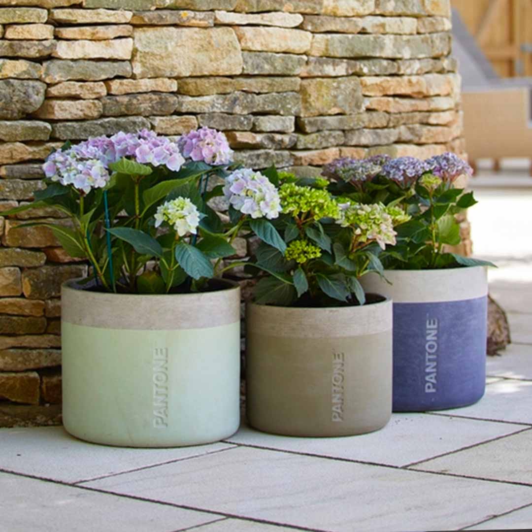 Pantone® Outdoor Garden Planter Pots Collection – Mossys Garden Centre