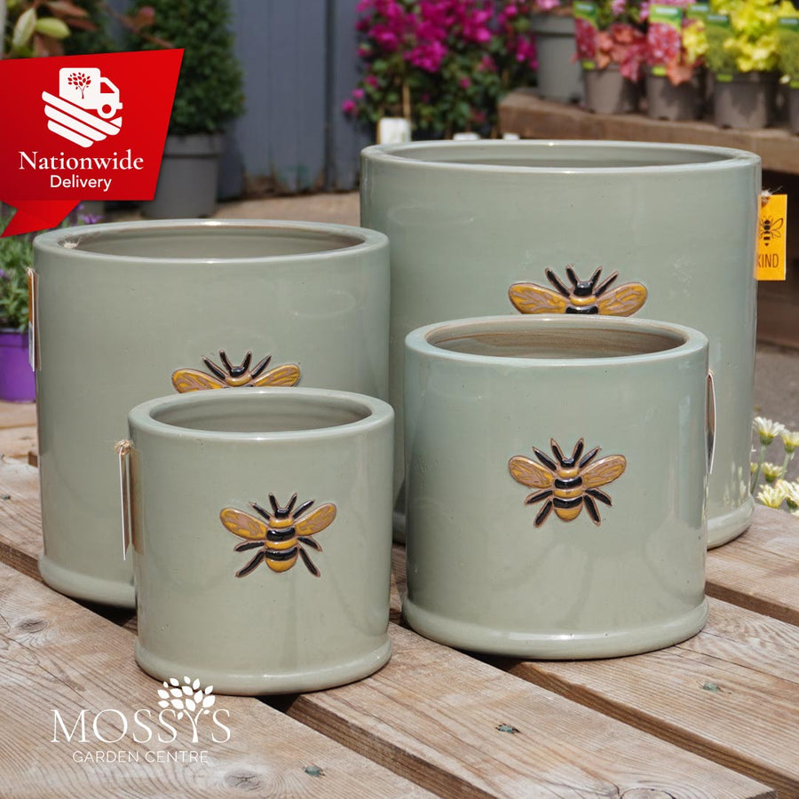 Bee Kind Bee Pots Glazed 'Green' Frost Proof Cylinder Planter – Mossys ...