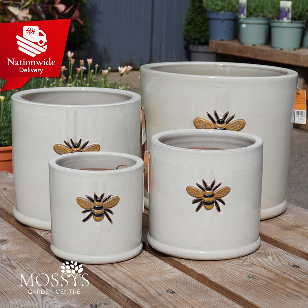 'Creamy White' Bee Pots Glazed Frost Proof Planter – Mossys Garden Centre