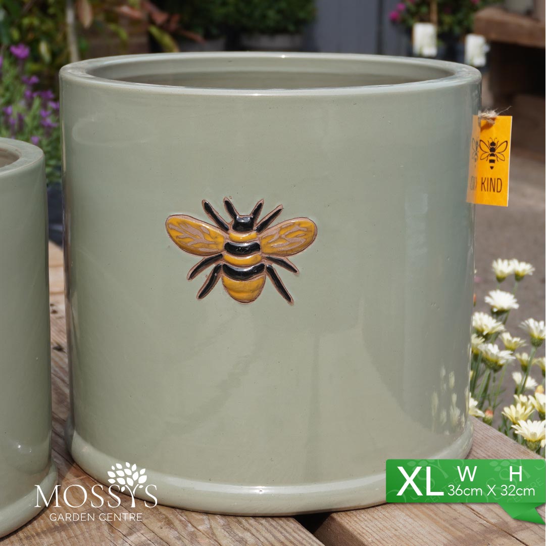 Bee Kind Bee Pots Glazed 'Green' Frost Proof Cylinder Planter – Mossys ...