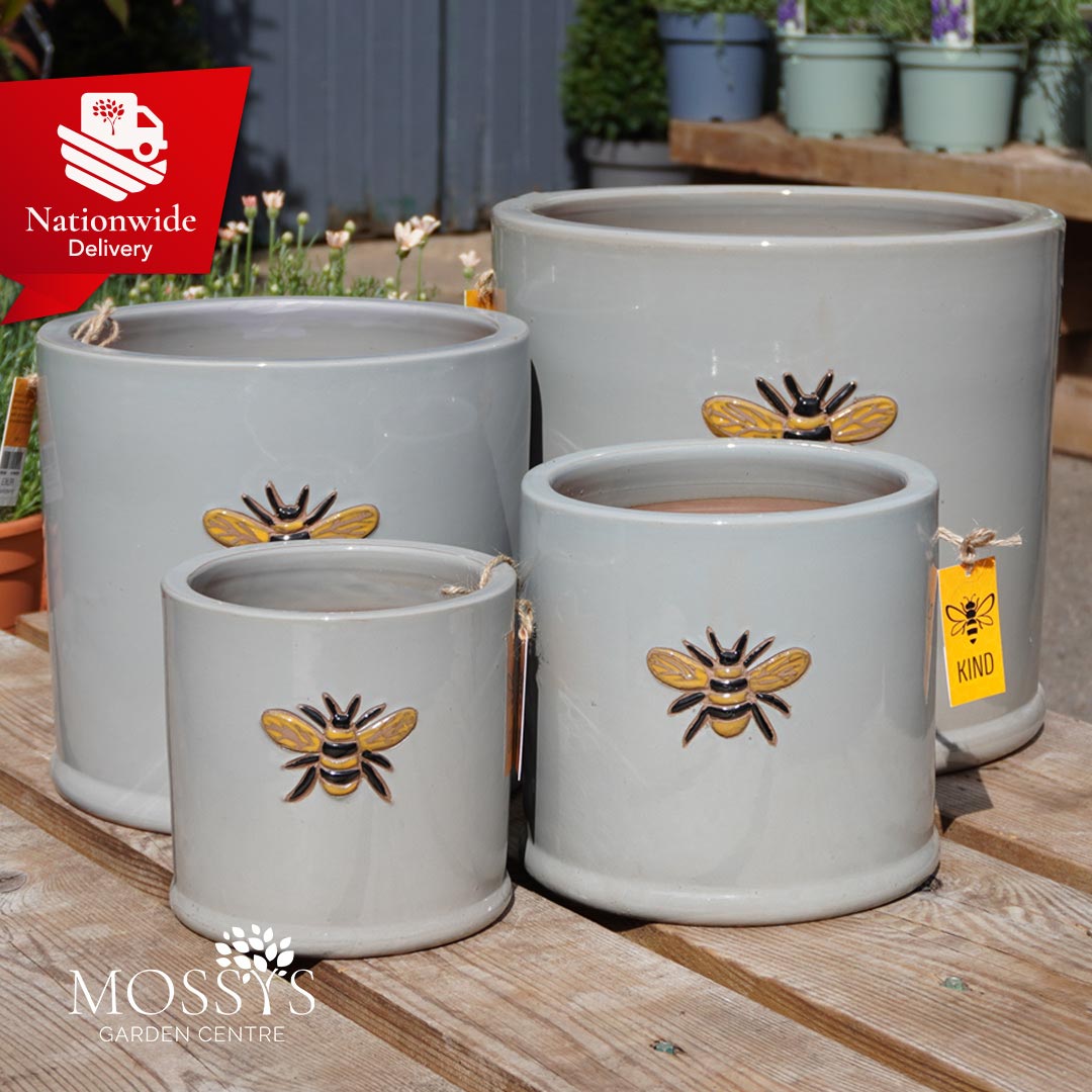 Bee Kind Bee Pots Glazed 'Grey' Frost Proof Cylinder Planter – Mossys ...
