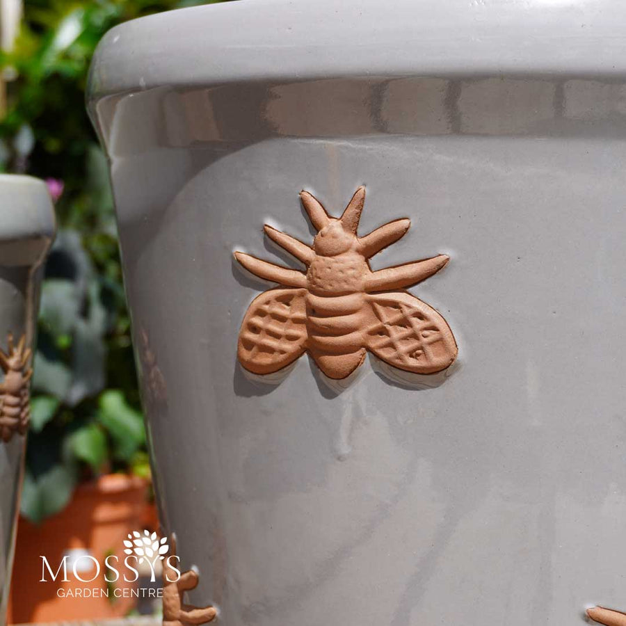 Creamy White Bumble Bee Kind Planter Pots – Mossys Garden Centre