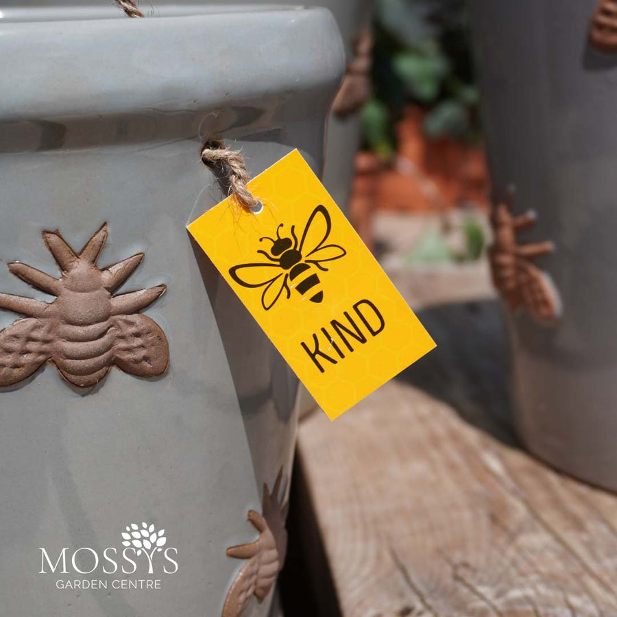 Creamy White Bumble Bee Kind Planter Pots – Mossys Garden Centre