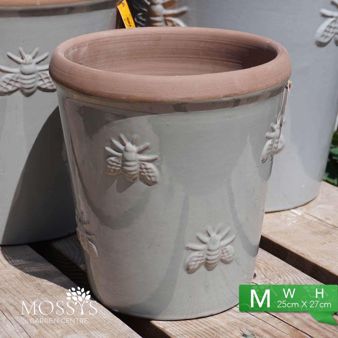 Dipped Grey Bumble Bee Garden Planters | Bee Kind Pots – Mossys Garden ...