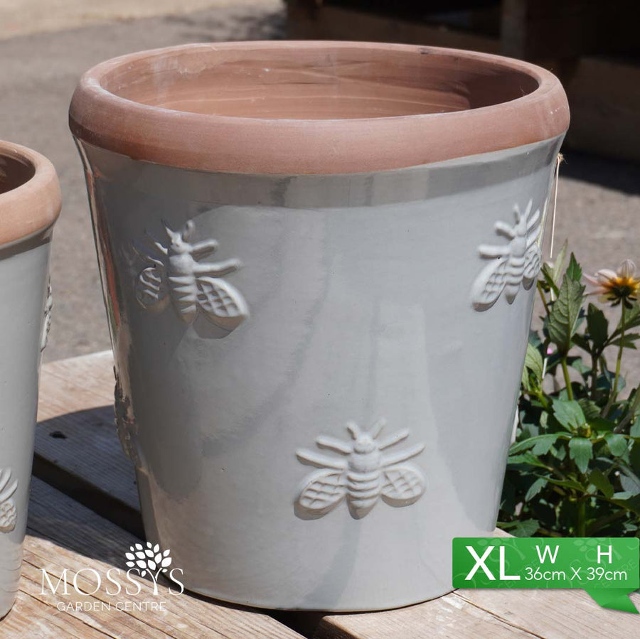 Dipped Grey Bumble Bee Garden Planters | Bee Kind Pots – Mossys Garden ...