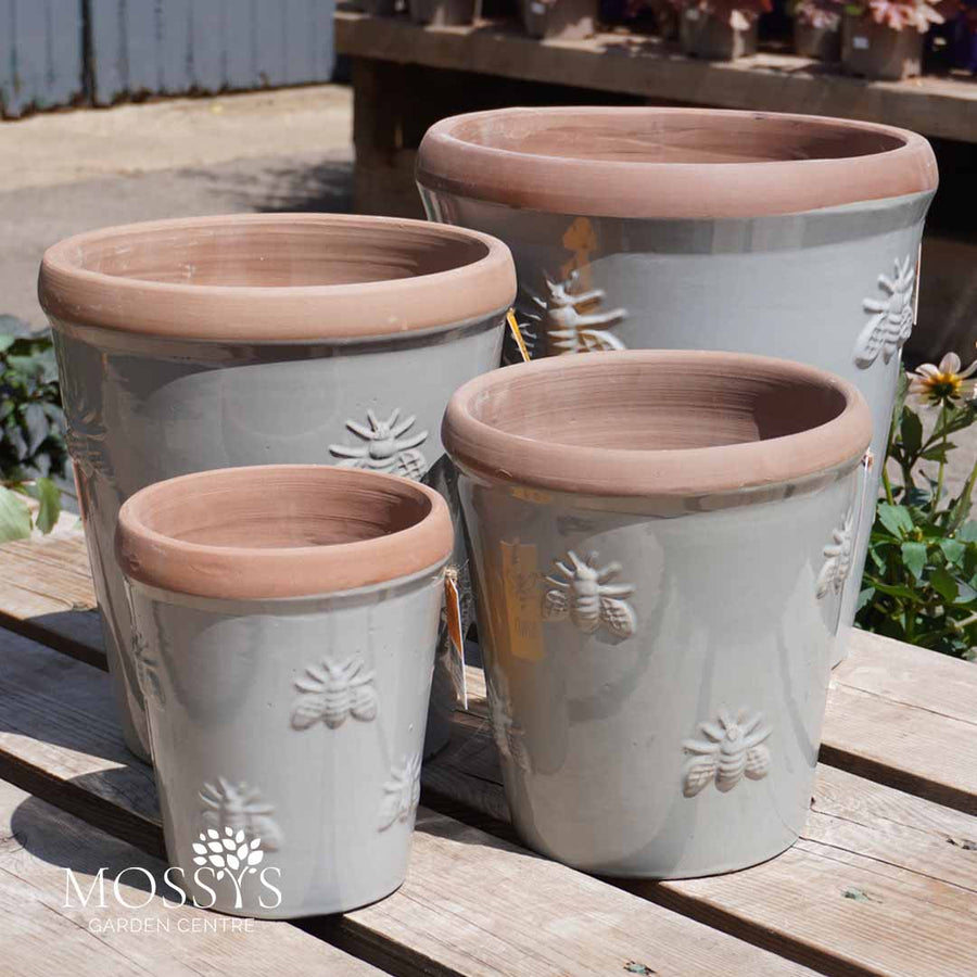 Dipped Grey Bumble Bee Garden Planters | Bee Kind Pots – Mossys Garden ...