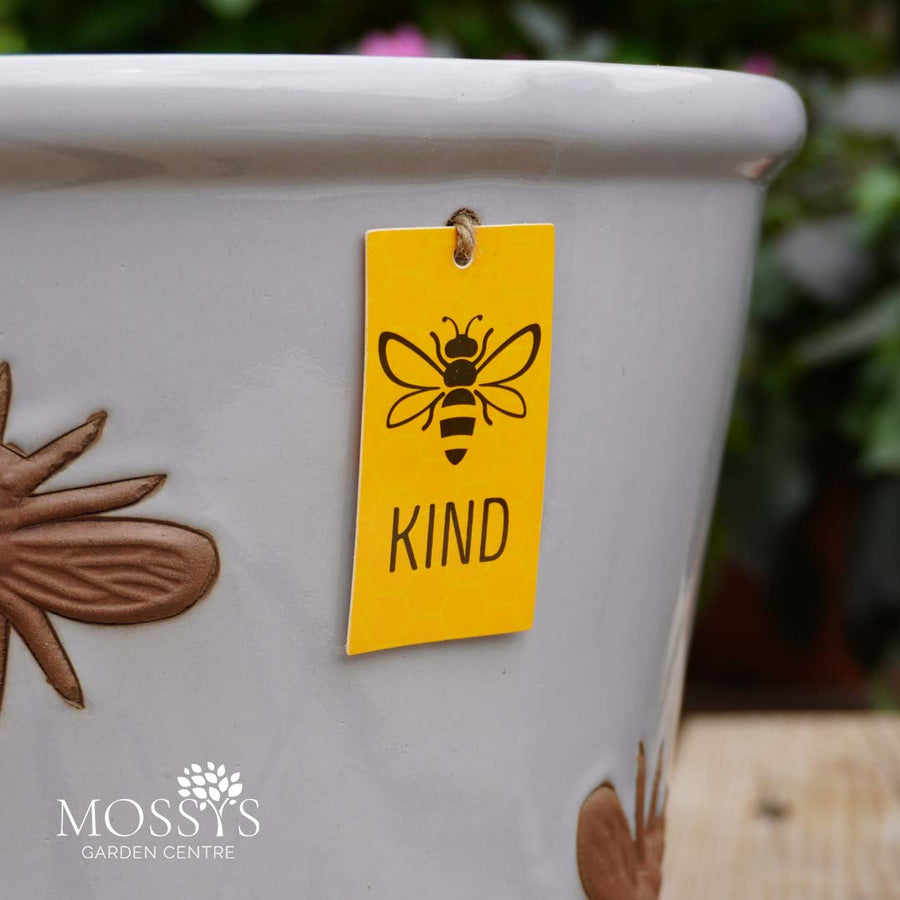 'Light Grey' Bee Kind Bumble Bee Glazed Pots Frost Proof Planters ...