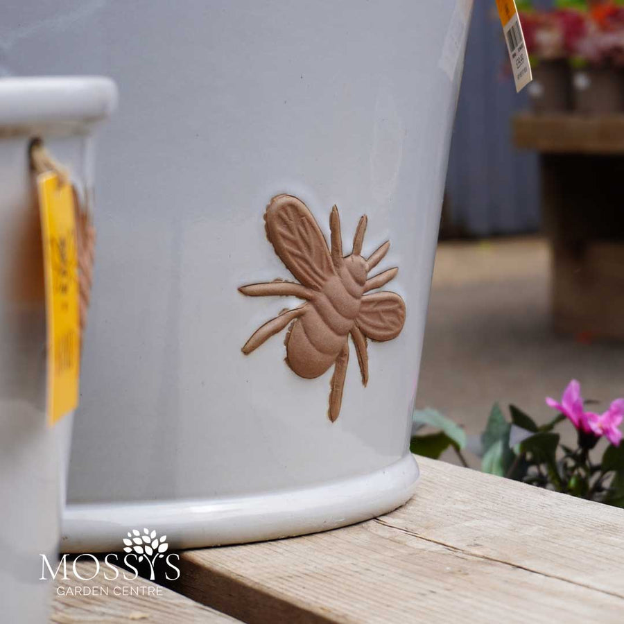 'Light Grey' Bee Kind Bumble Bee Glazed Pots Frost Proof Planters ...