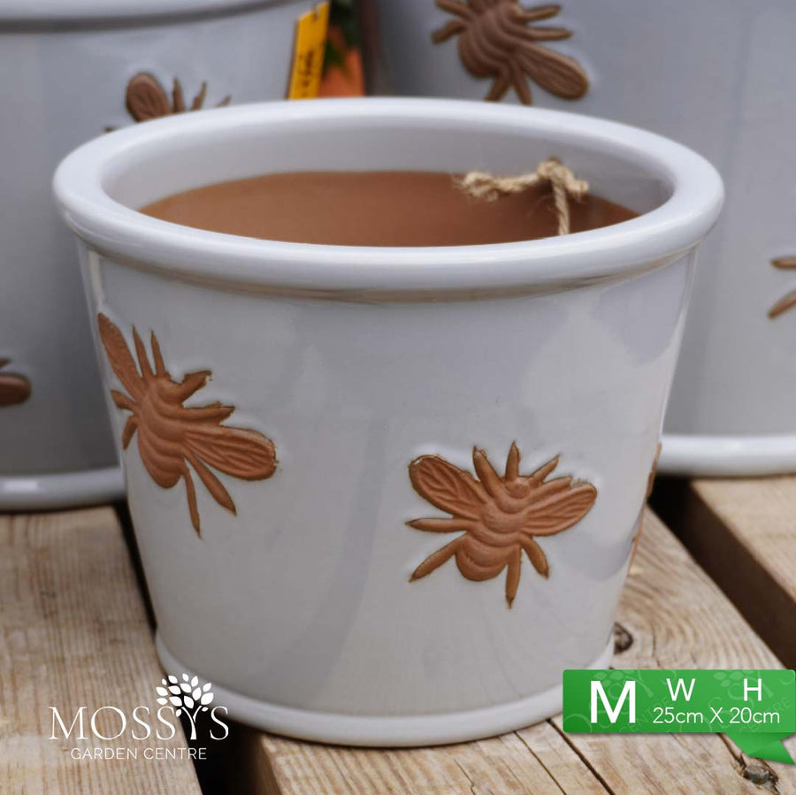 'Light Grey' Bee Kind Bumble Bee Glazed Pots Frost Proof Planters ...