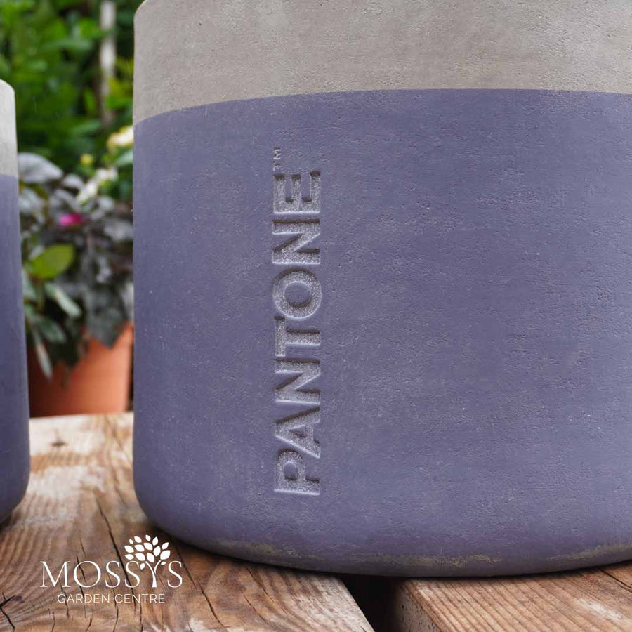 Pantone® Outdoor Garden Planter Pots | Dark Blue – Mossys Garden Centre