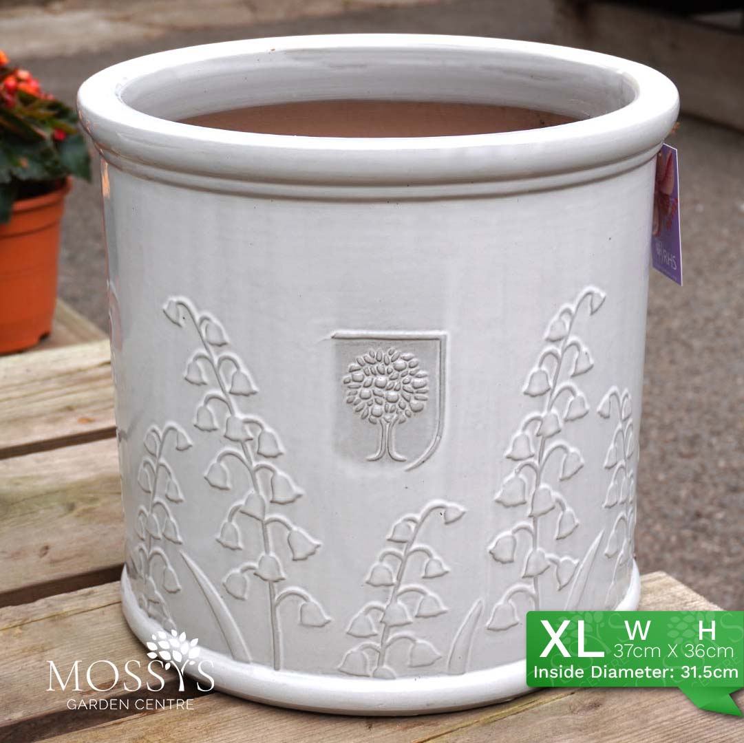 Planters – Mossys Garden Centre