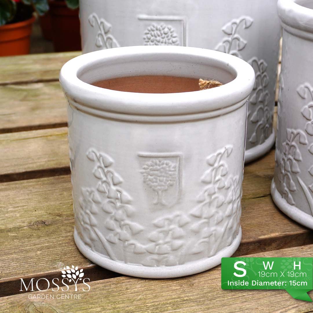 Planters – Mossys Garden Centre