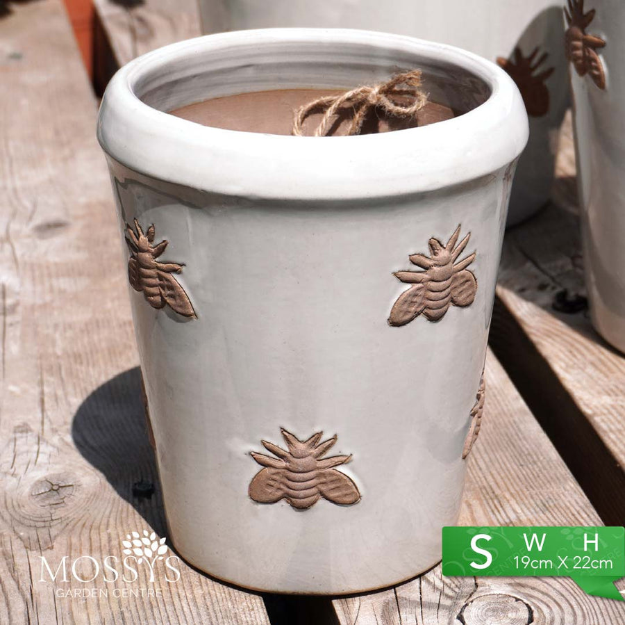 Creamy White Bumble Bee Kind Planter Pots – Mossys Garden Centre