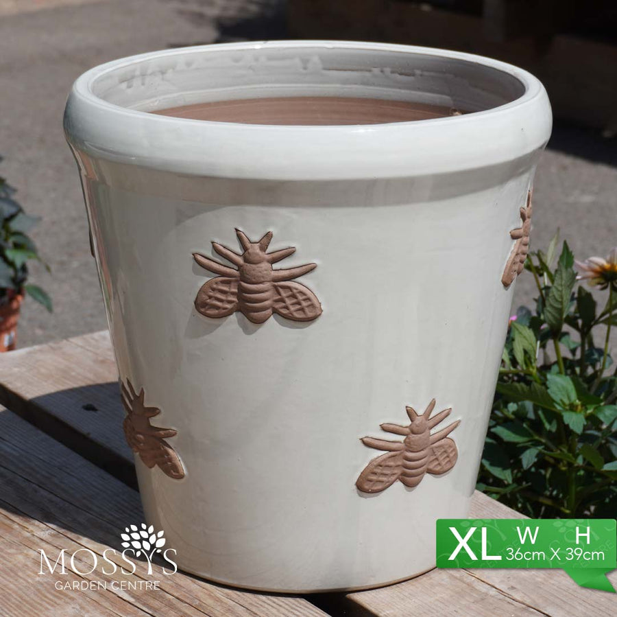 Creamy White Bumble Bee Kind Planter Pots – Mossys Garden Centre