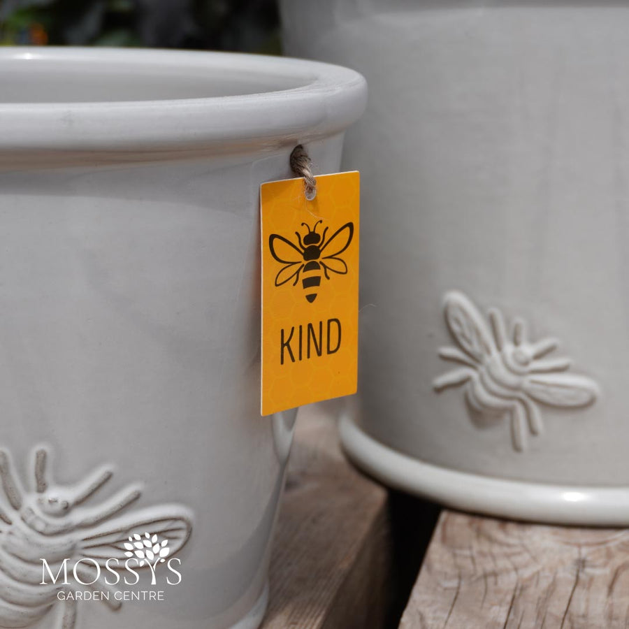 'Creamy White' Bee Kind Bumble Bee Glazed Pots Frost Proof Planters ...