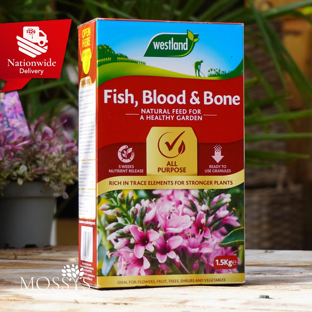 Westland Fish, Blood & Bone Box 1.5kg – Mossys Garden Centre