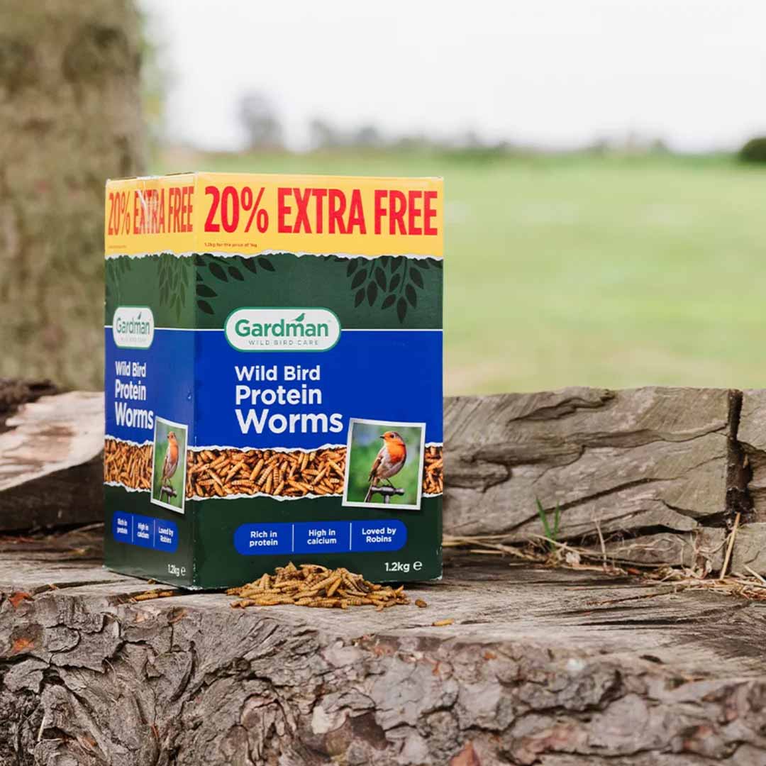 Gardman Wild Bird Dried Protein Worms 1.2kg – Mossys Garden Centre