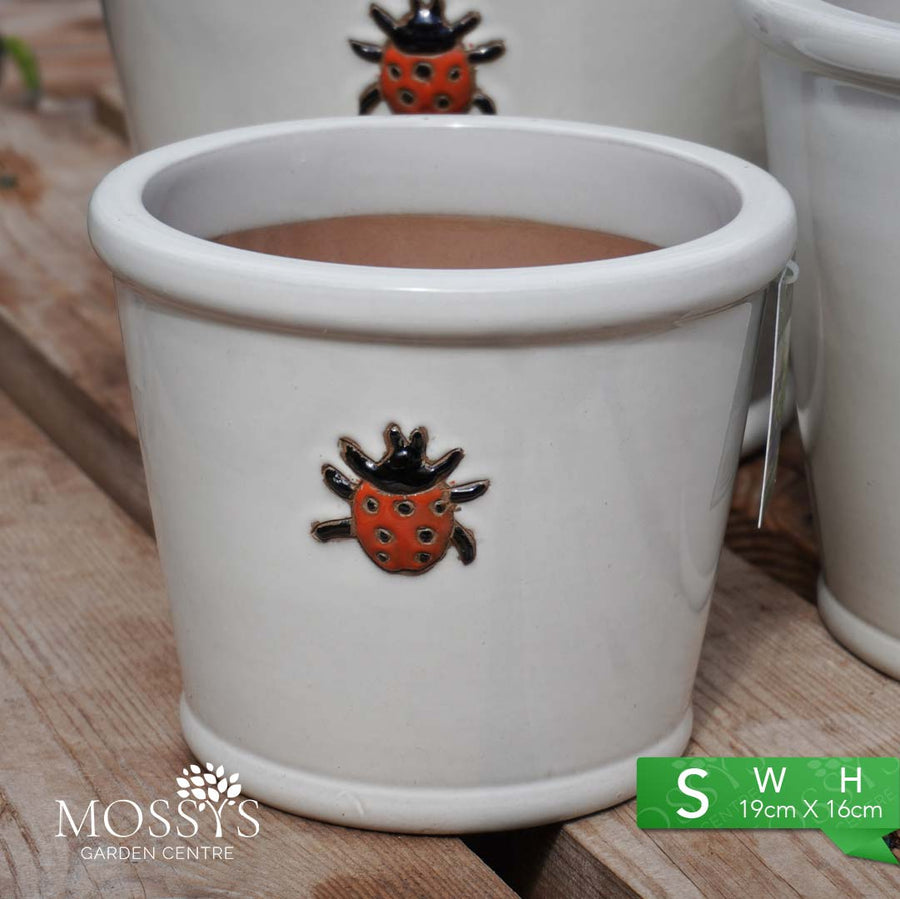 Orange Ladybird White Glazed Frost Proof Planter Pots – Mossys Garden ...