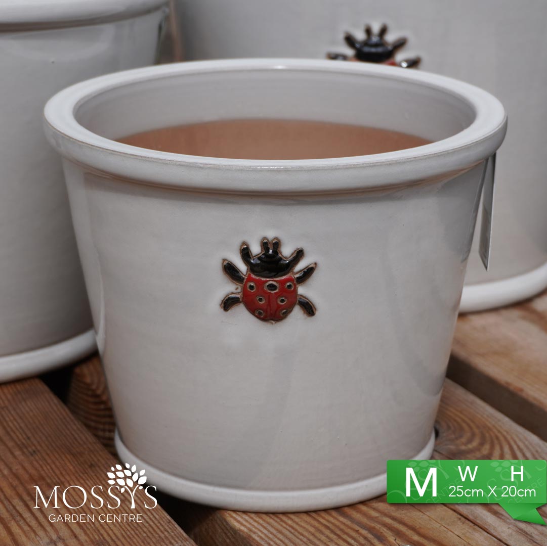 Red Ladybird White Glazed Frost Proof Planter Pots – Mossys Garden Centre