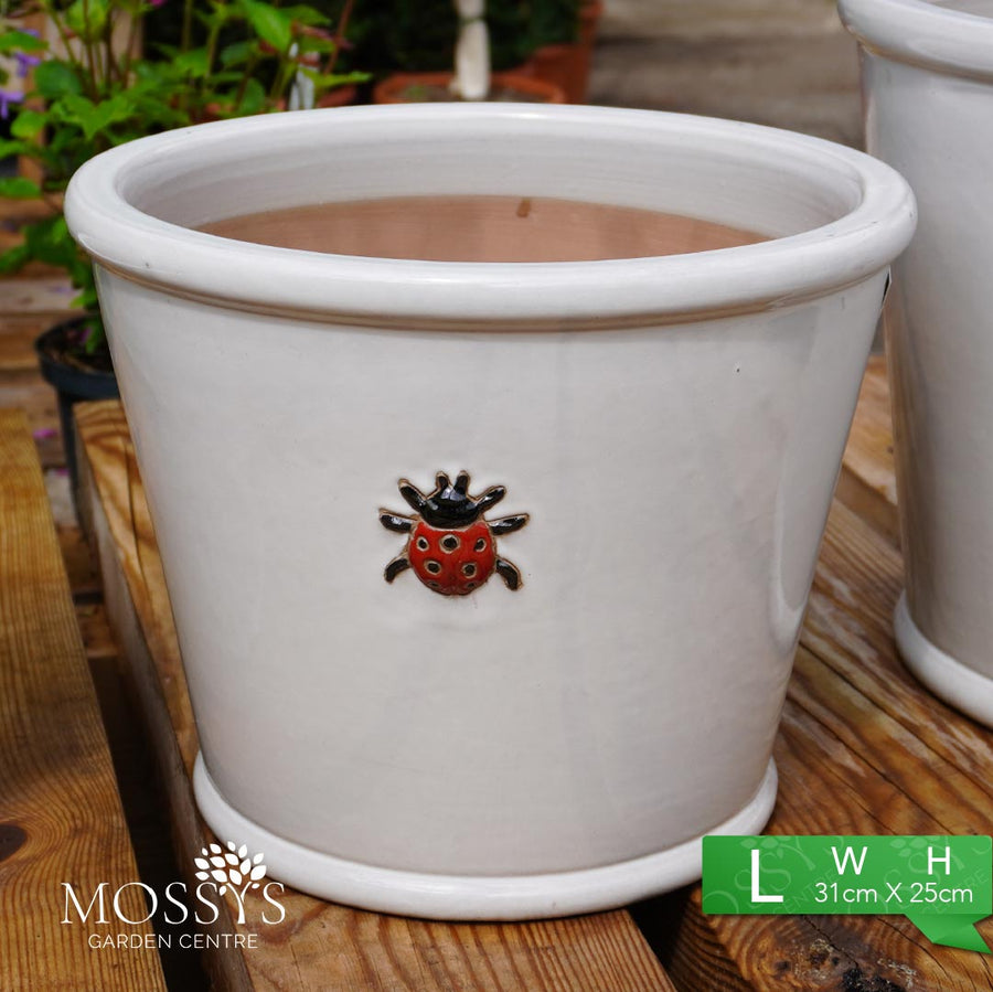 Red Ladybird White Glazed Frost Proof Planter Pots – Mossys Garden Centre