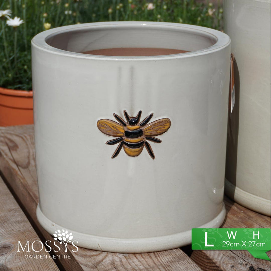 Bee Kind Bee Pots Glazed 'Creamy White' Frost Proof Cylinder Planter ...