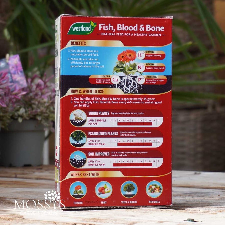 Westland Fish, Blood & Bone Box 1.5kg – Mossys Garden Centre