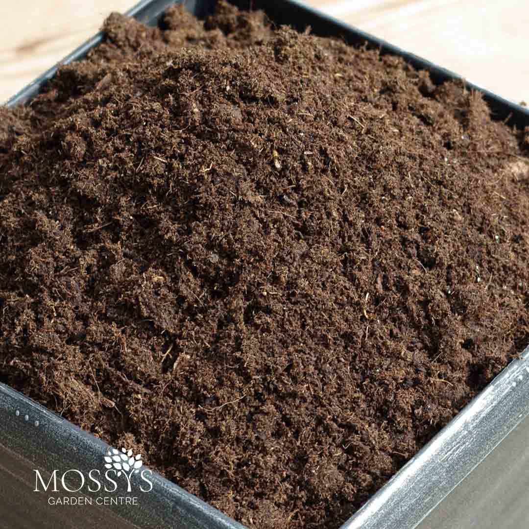 Growmoor Multi-Purpose Compost 60L – Mossys Garden Centre