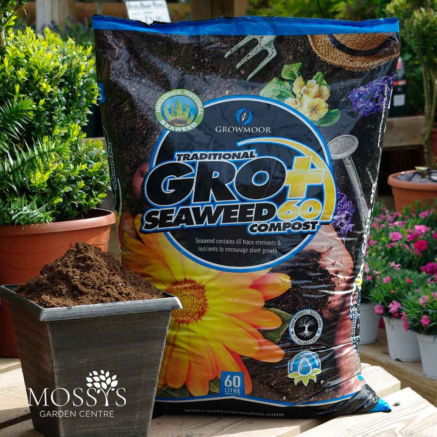 Traditional GRO+ Seaweed60 Compost 60L (2 For £12) – Mossys Garden Centre
