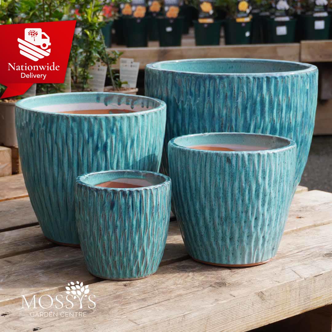 Frost Proof Glazed Cameron Pots 'Teal' – Mossys Garden Centre